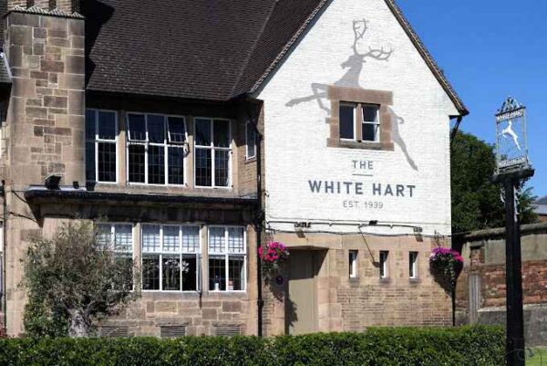 Lunchtime Meeting - White Hart, Duffield - Amber Valley Business Networking